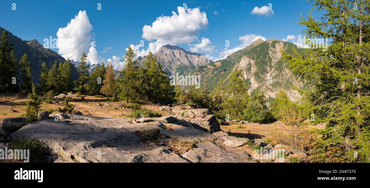 Plateau de la coche hi-res stock photography and images - Alamy