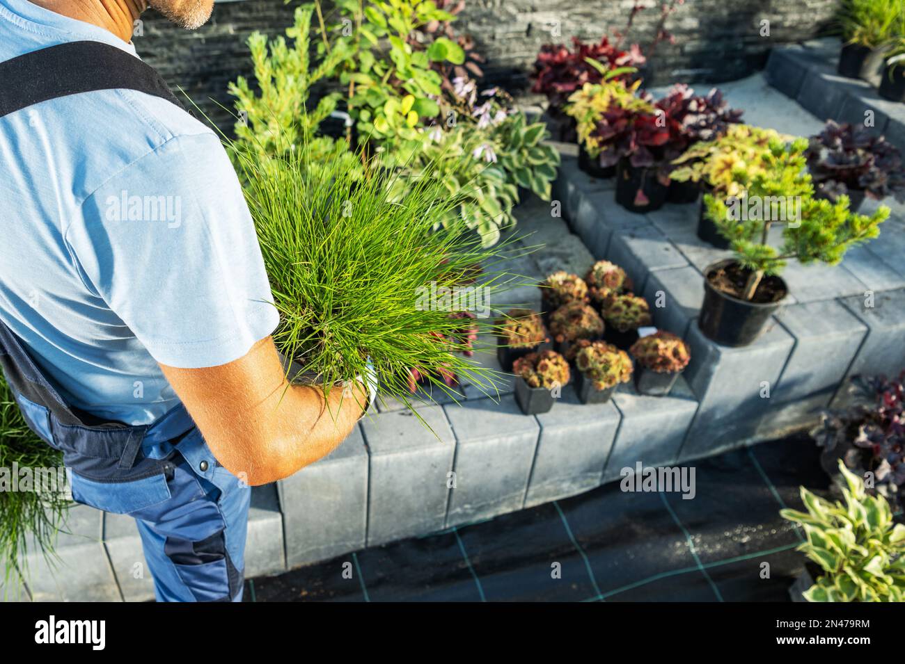 Caucasian Professional Landscaper Gardener Preparing For Planting ...