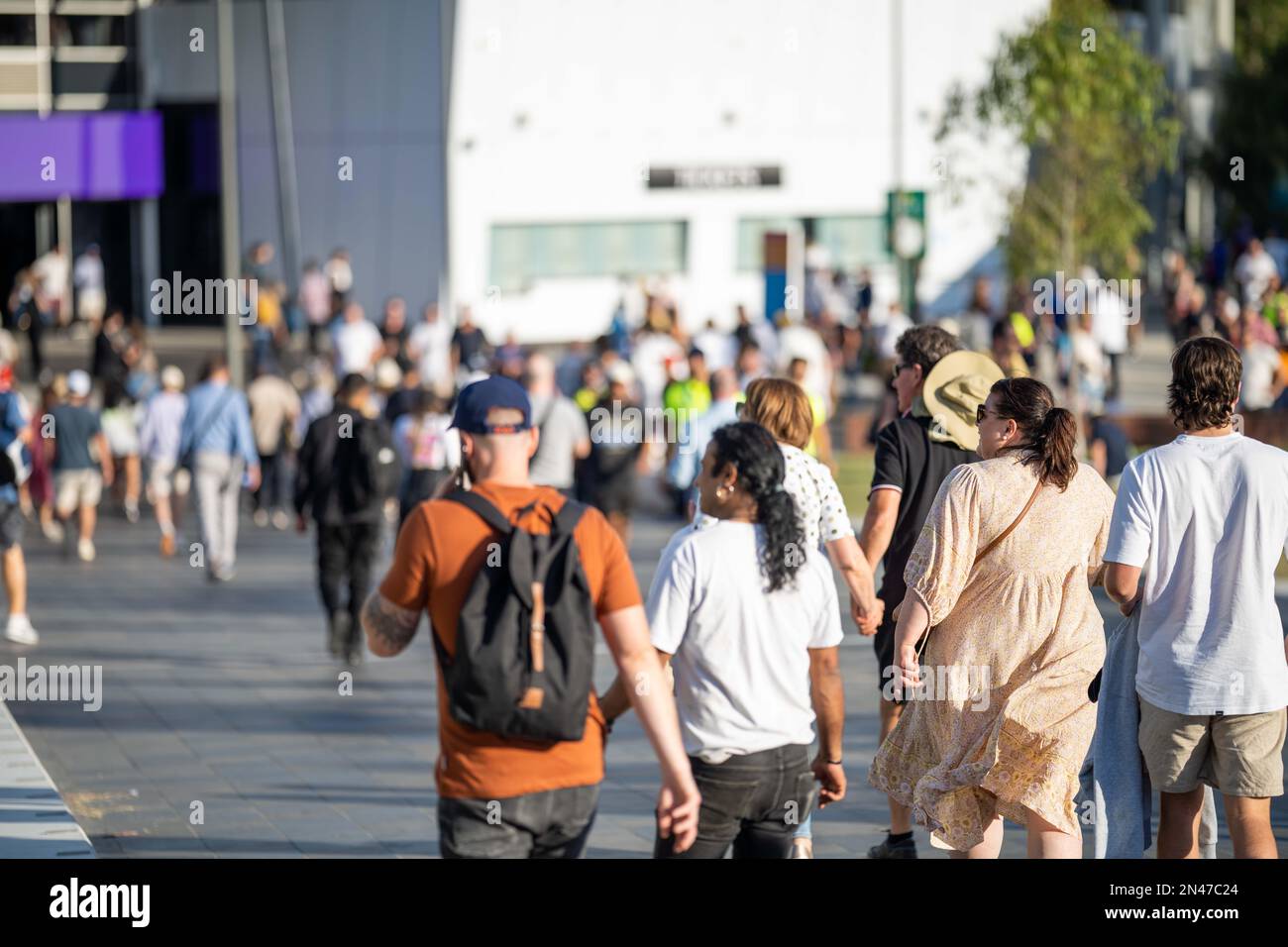 tennis fan watching a tennis match at the australian open eating food ...