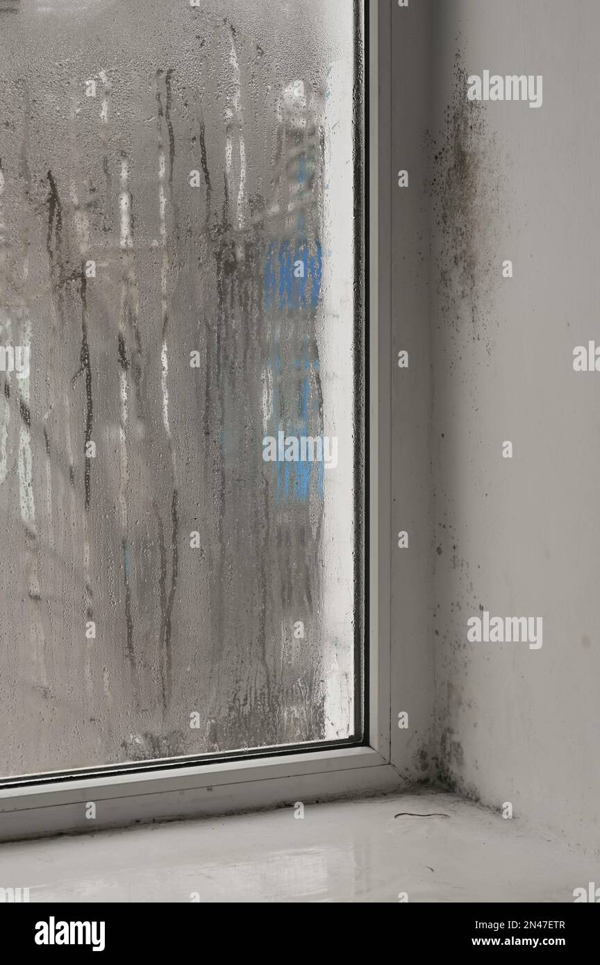 Mold on a wet window in the house Stock Photo - Alamy