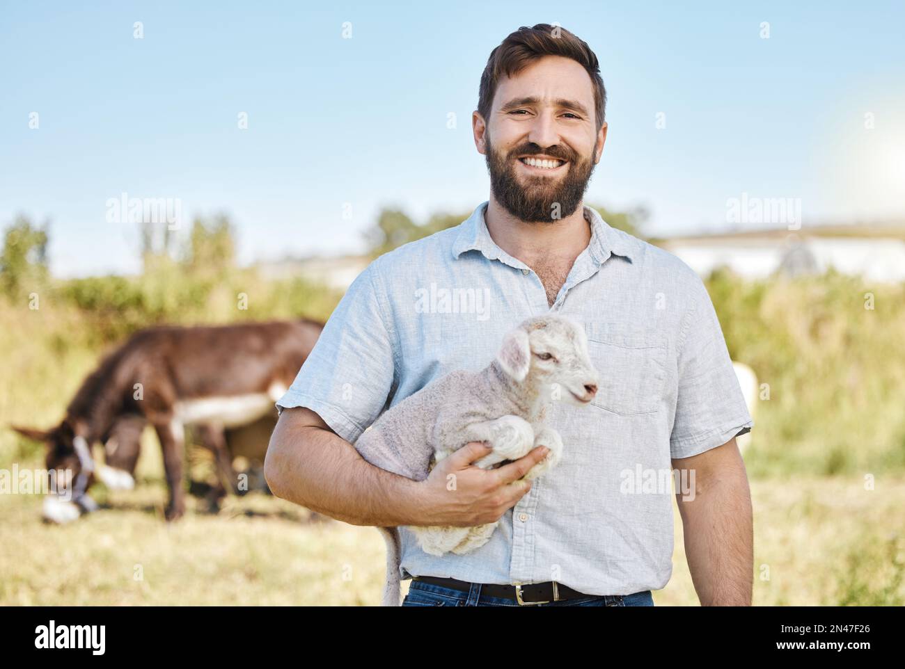 Farmer, portrait or baby lamb on livestock agriculture, countryside ...