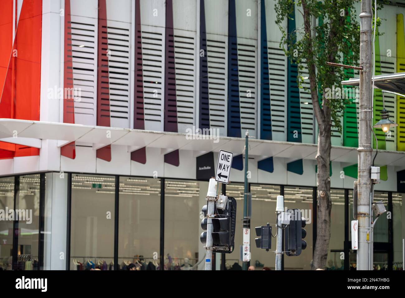 tennis fan watching a tennis match at the australian open eating food ...