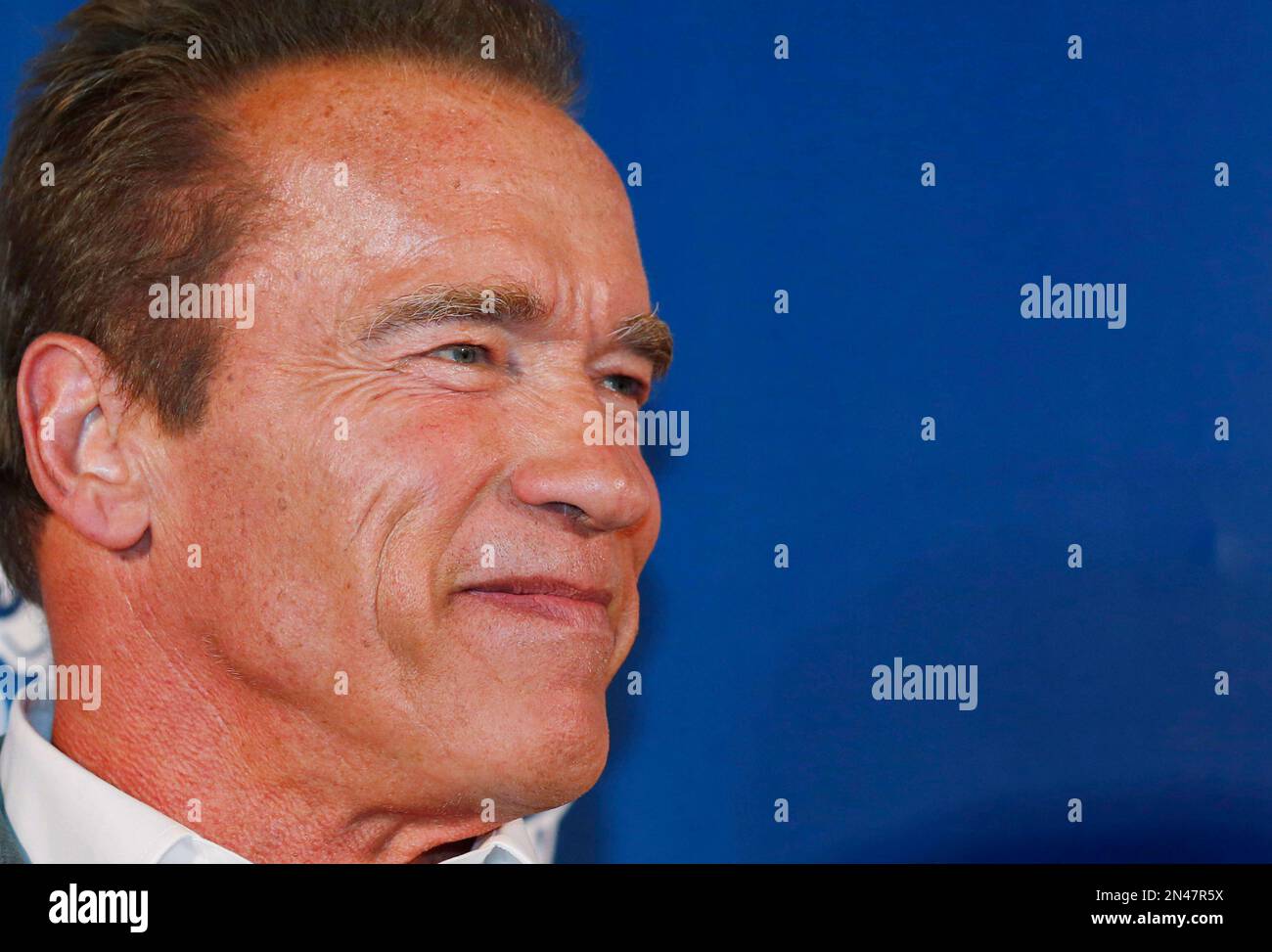 U.S. actors Arnold Schwarzenegger smiles on the red carpet for the ...