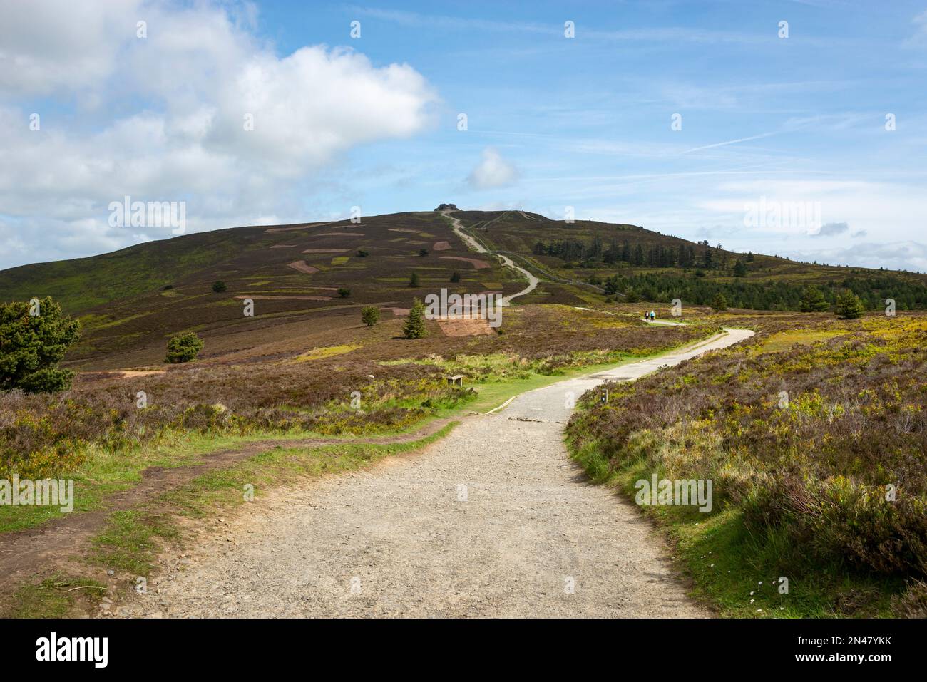Footpath to summit at Moel Famau country park, Clwydian range, North ...