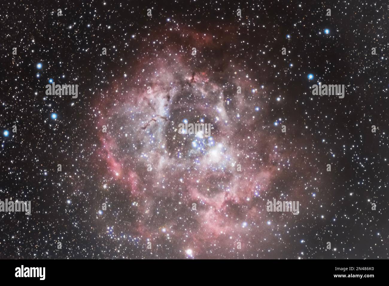 The glowing Rosette Nebula NGC 2244 of the Monoceros region of the Milky Way Galaxy Stock Photo ...