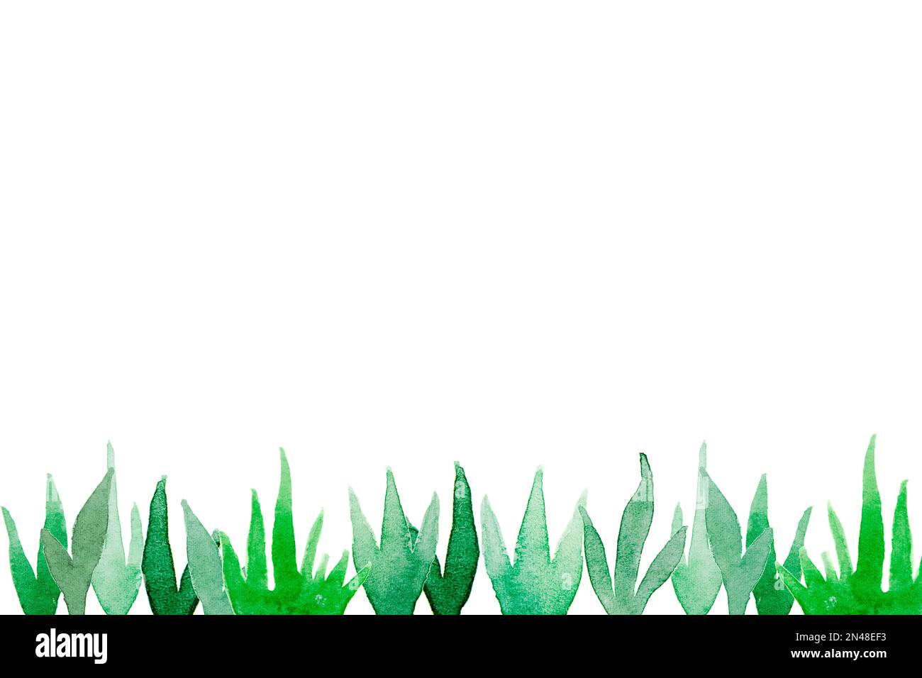 Hand drawn watercolor green grass on the white background. Nature ...