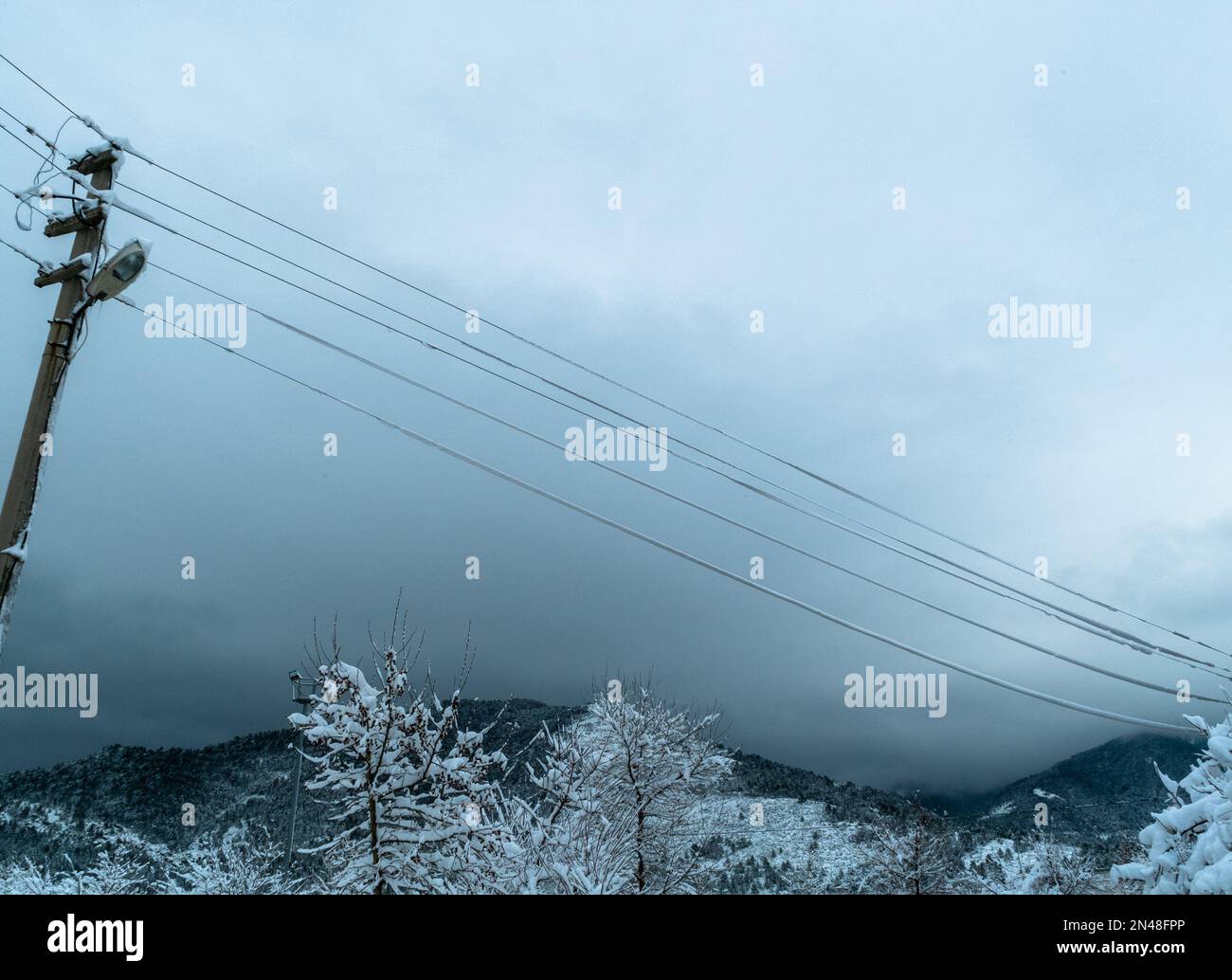 Electrical wires covered with snow winter time Stock Photo - Alamy