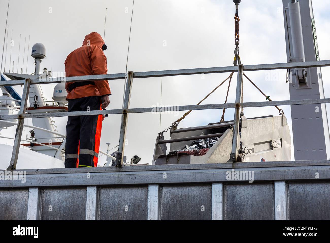 Unloading fish from the 'Antarctic' super trawler in Killybegs, County ...
