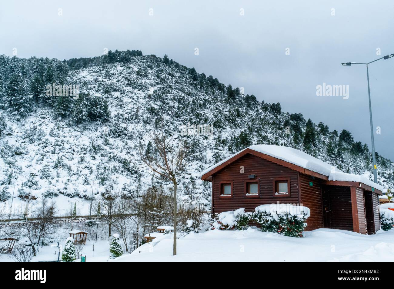 Bungalow tree house. Snow winter white background blizzard frost. Snowy ...