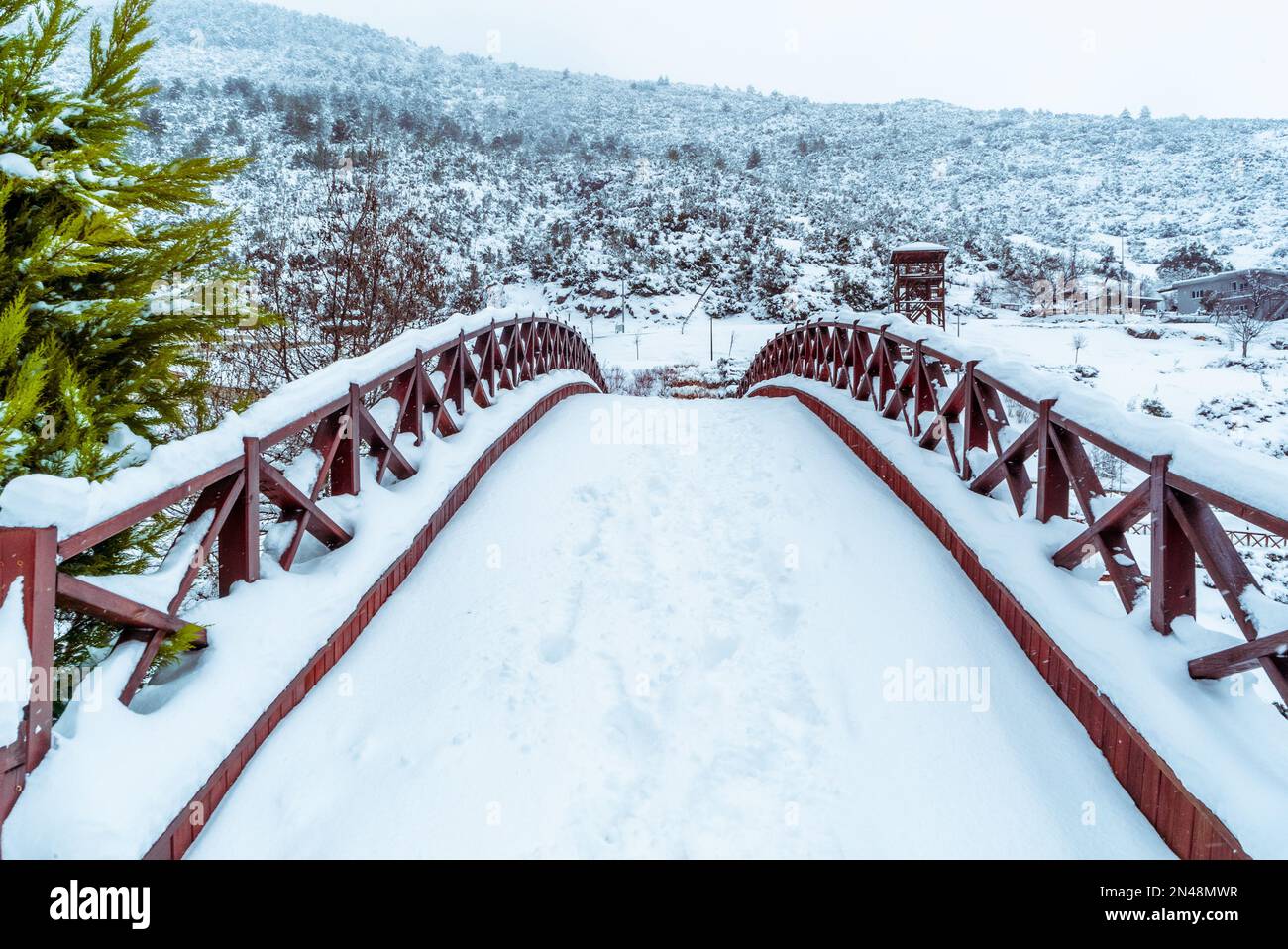Wooden Bridge Snow winter white background blizzard frost. Snowy cold ...