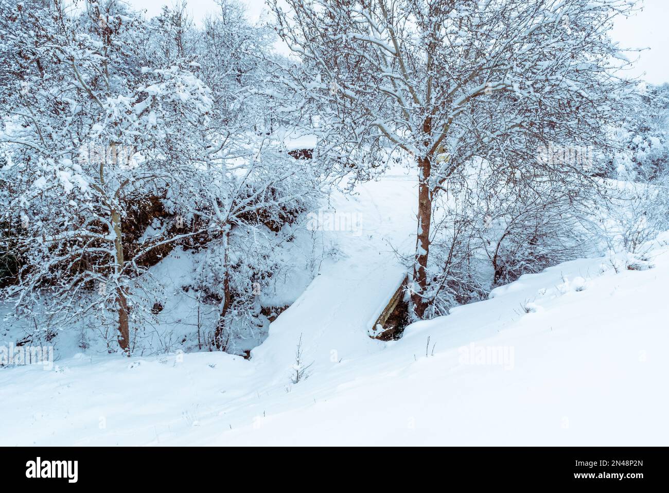 Bridge Snow winter white background blizzard frost. Snowy cold day ...
