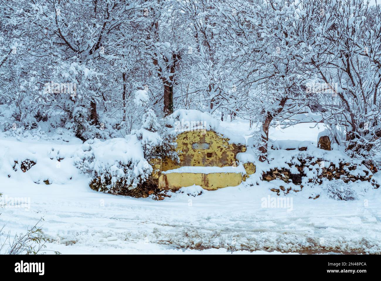 Snow winter white background blizzard frost. Snowy cold day frozen ...