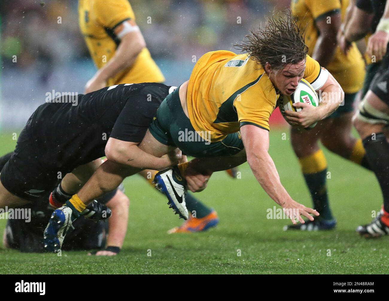 Australian Wallabies captain Michael Hooper is tackled by New Zealand ...