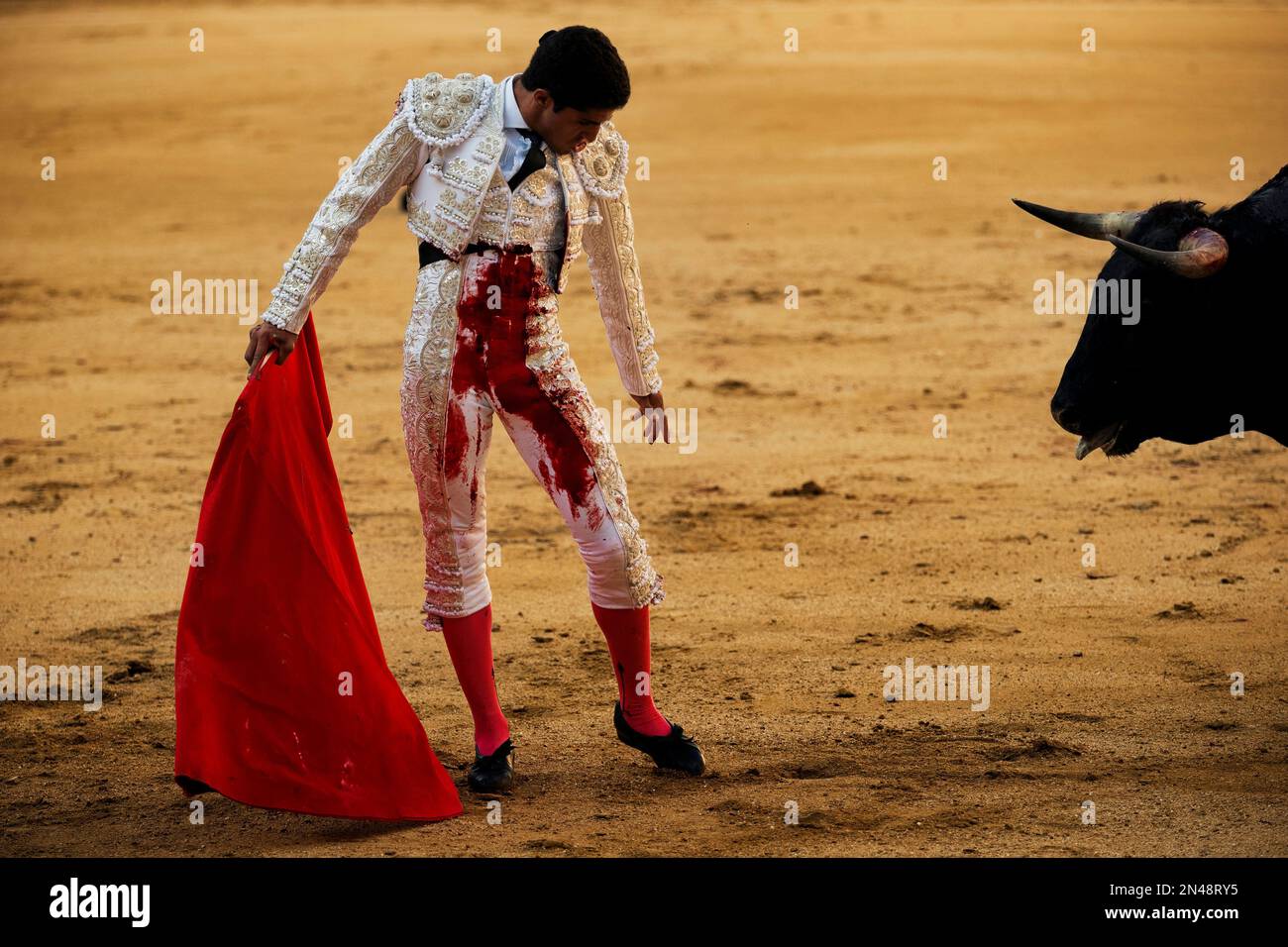 Spanish bullfighter Rafael Cerro performs with an El Torero ranch ...