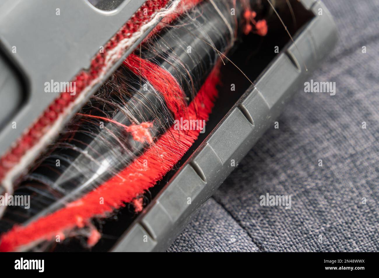 Close-up view of the hair and string stuck on the dust mite vacuum ...