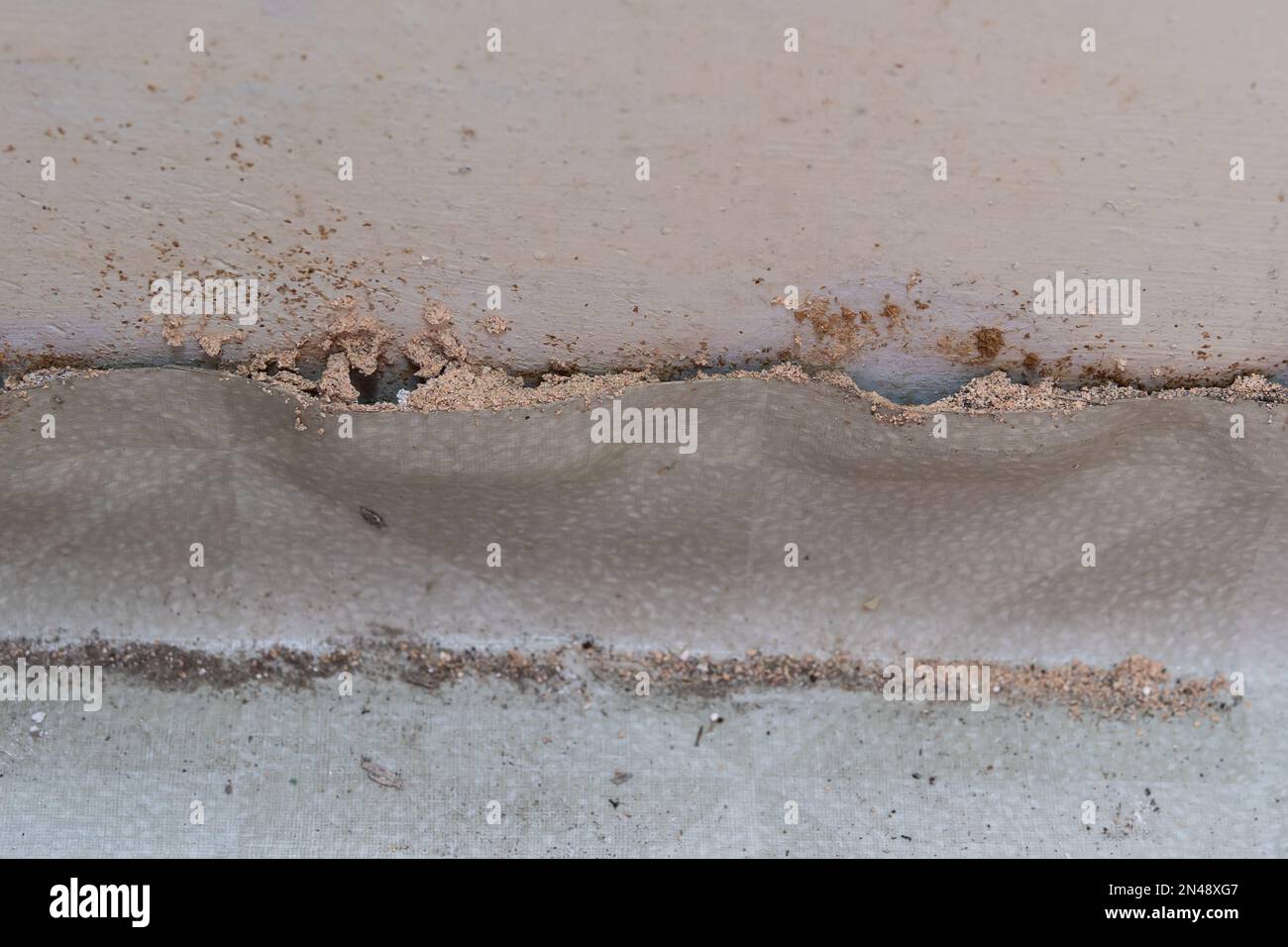 Close-up view of the termite mound on the house wall Stock Photo - Alamy