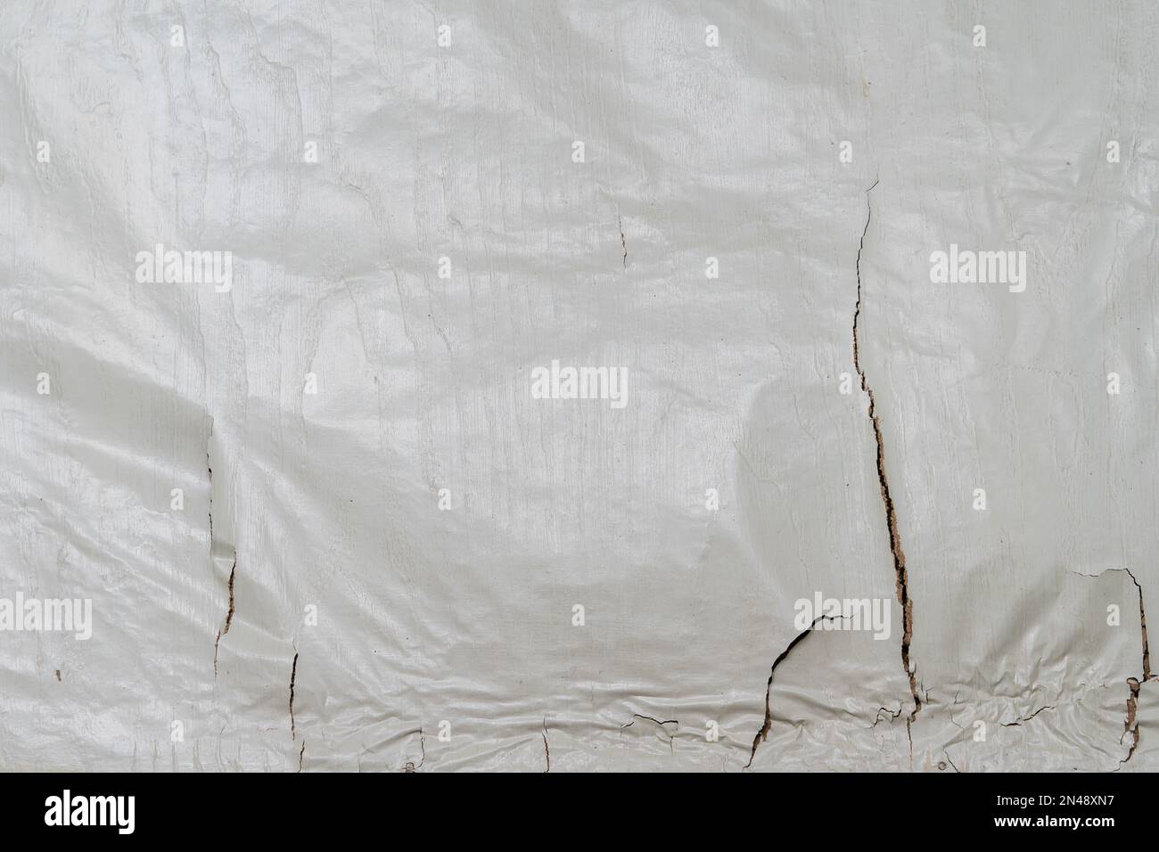 Termites damage on the house wall Stock Photo - Alamy