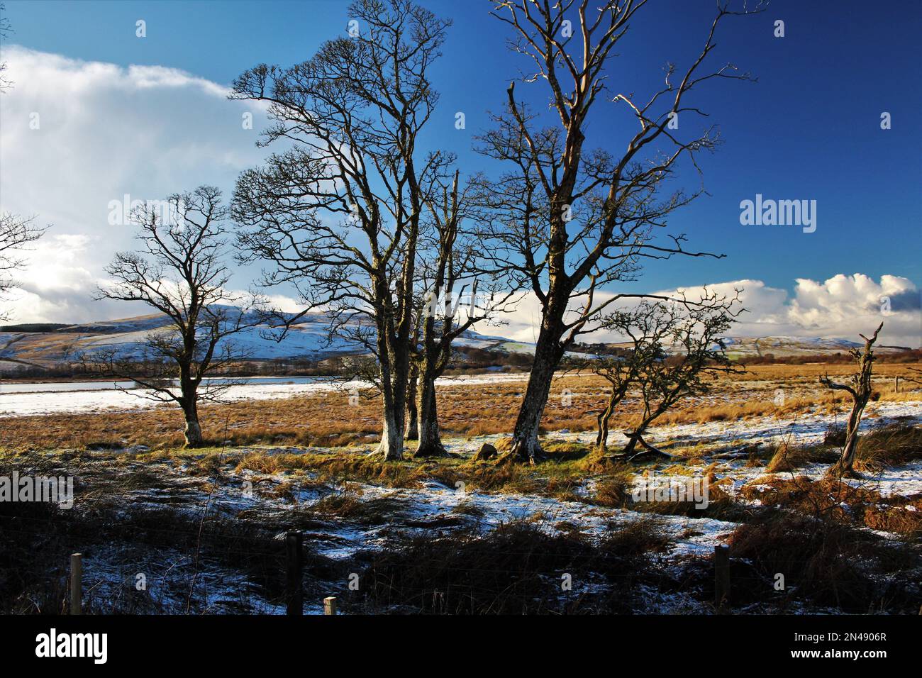 Doon Valley - Scotland Stock Photo - Alamy