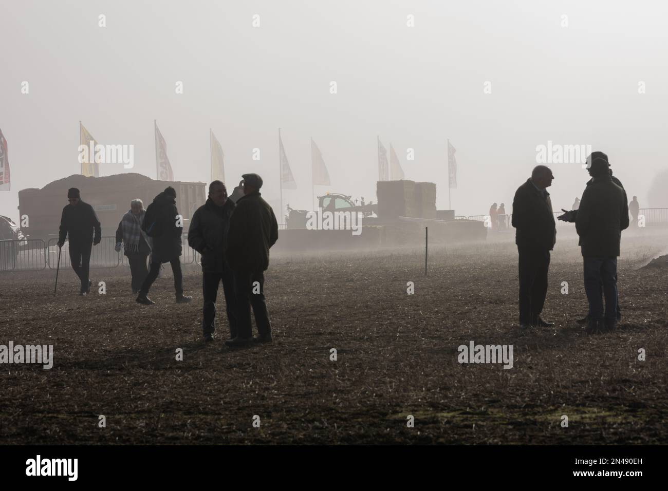 Doe show 2023 hi-res stock photography and images - Alamy