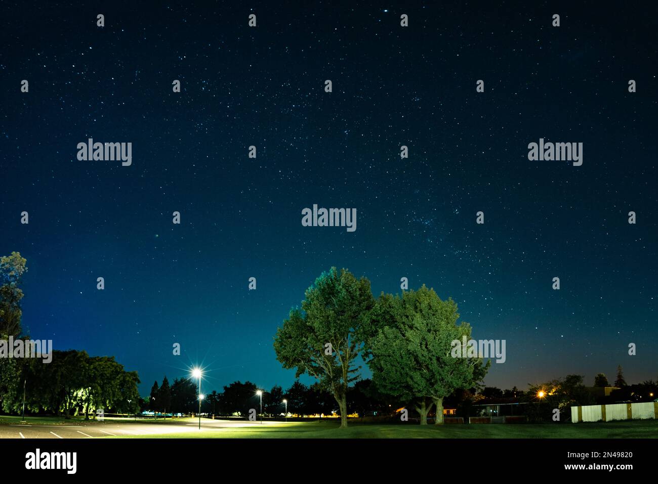 green trees in the night park and night starry sky milky way Stock ...