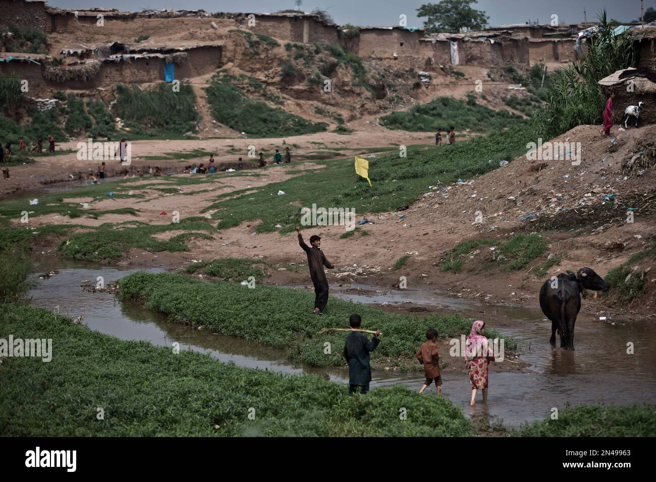 Internally Displaced Pakistanis from tribal areas and Afghan refugees ...