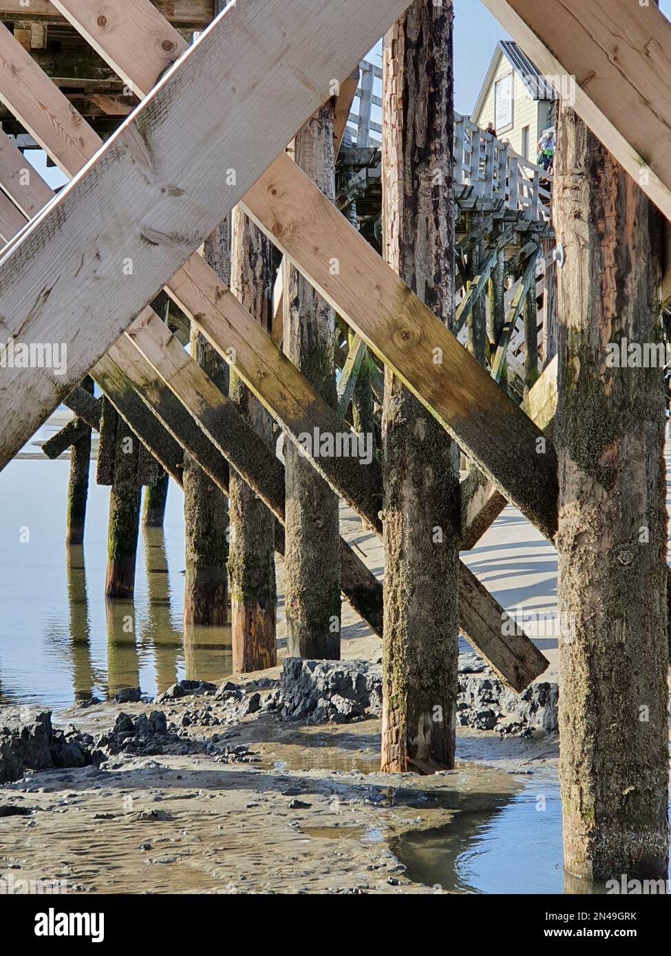 A vertical of an old mossy wooden jetty on the waters of the North Sea ...