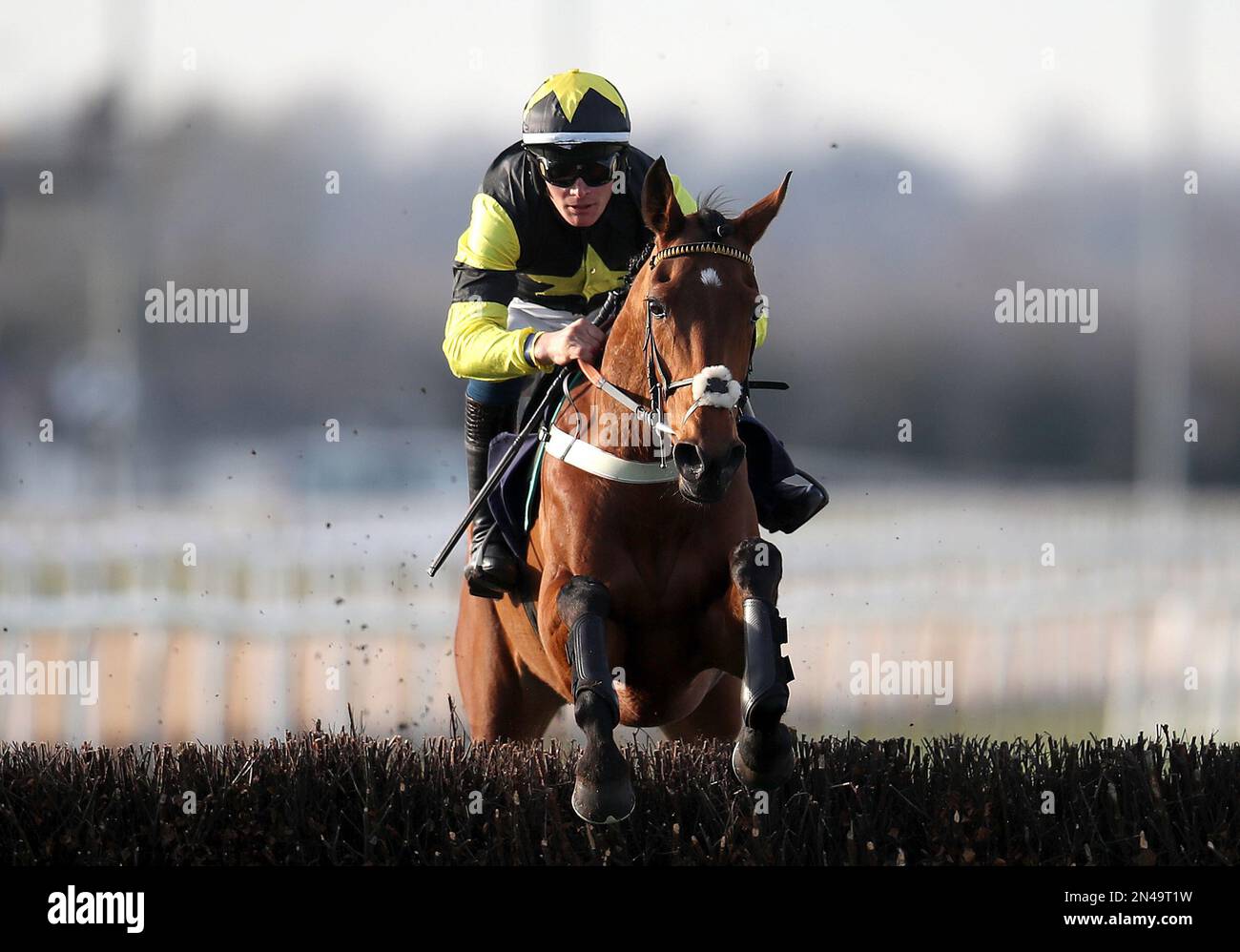 Angels landing horse hi-res stock photography and images - Alamy