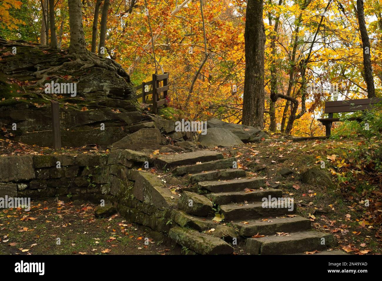 Old stone steps in a northern Ohio park with autumn colors Stock Photo ...