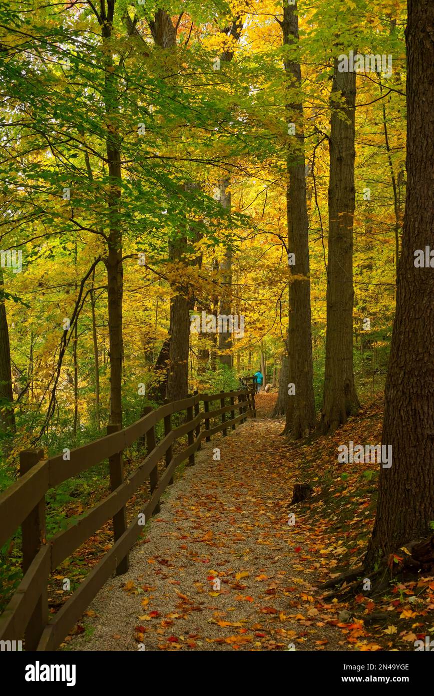 Shaded leafy path along a fence line in a northern Ohio park in autumn ...