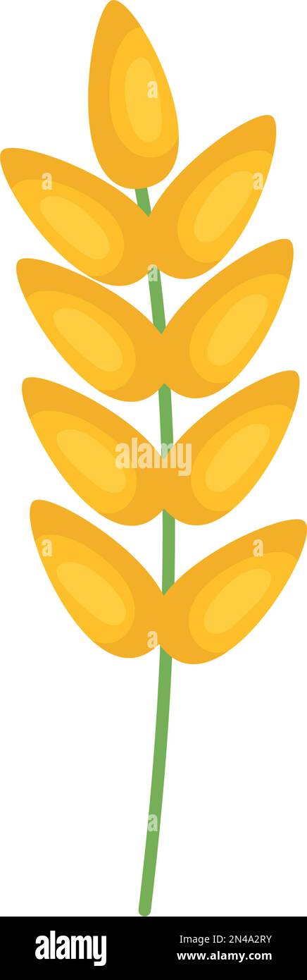 rice spike grains Stock Vector Image & Art - Alamy