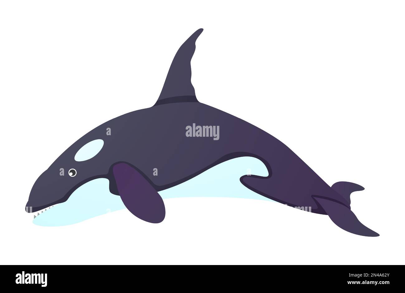 Happy cartoon orca killer whale hi-res stock photography and images - Alamy