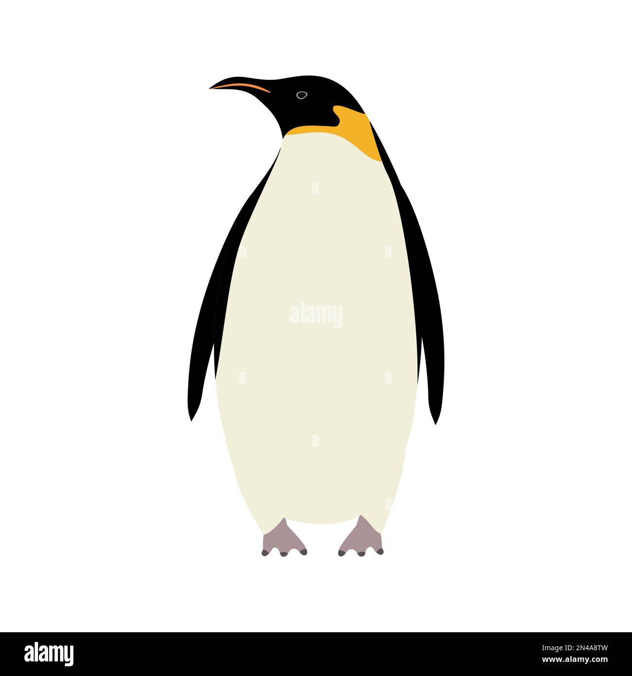 Vector hand drawn flat emperor penguin isolated on white background ...