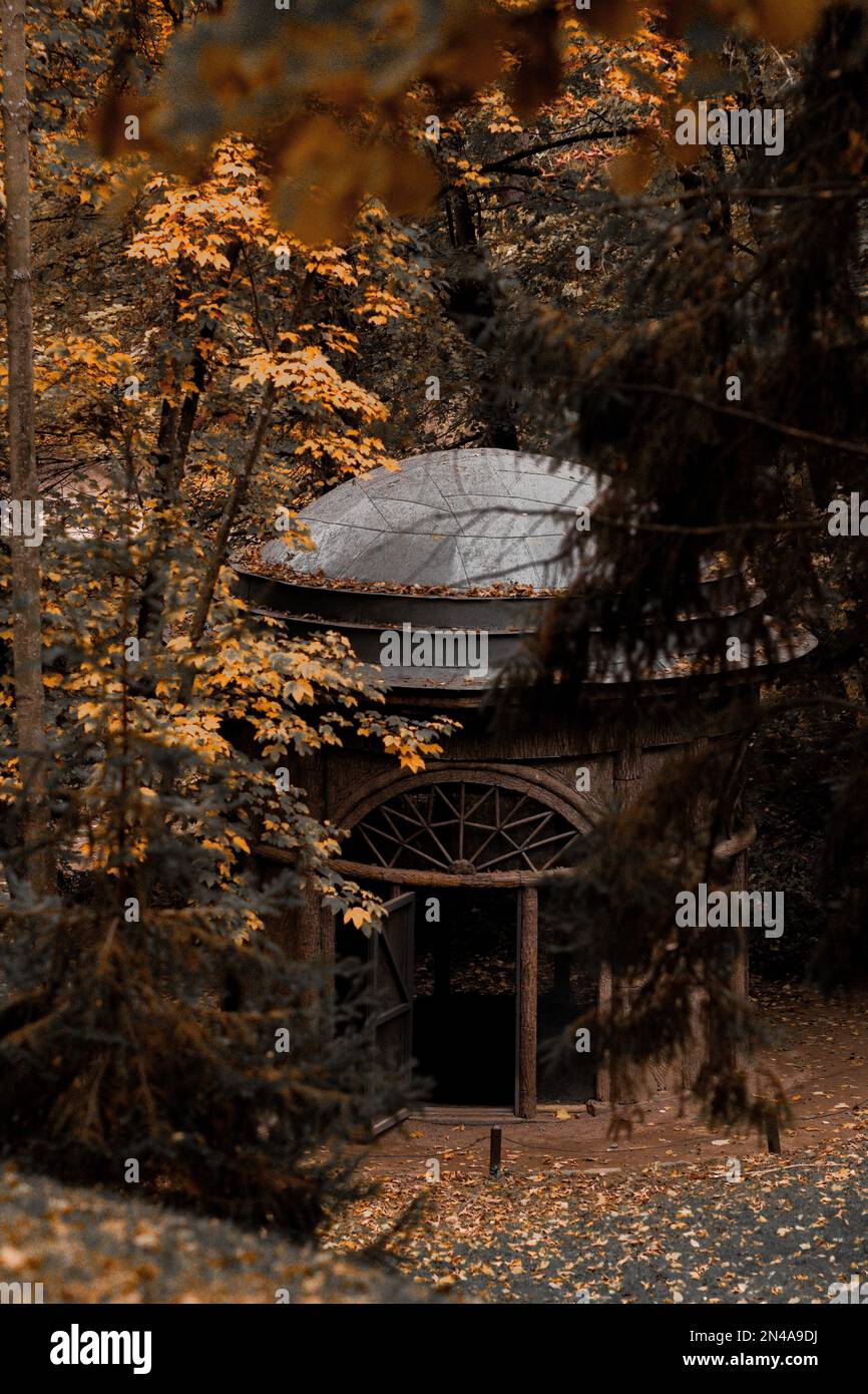 A vertical shot of the ancient alcove in the forest surrounded by trees ...