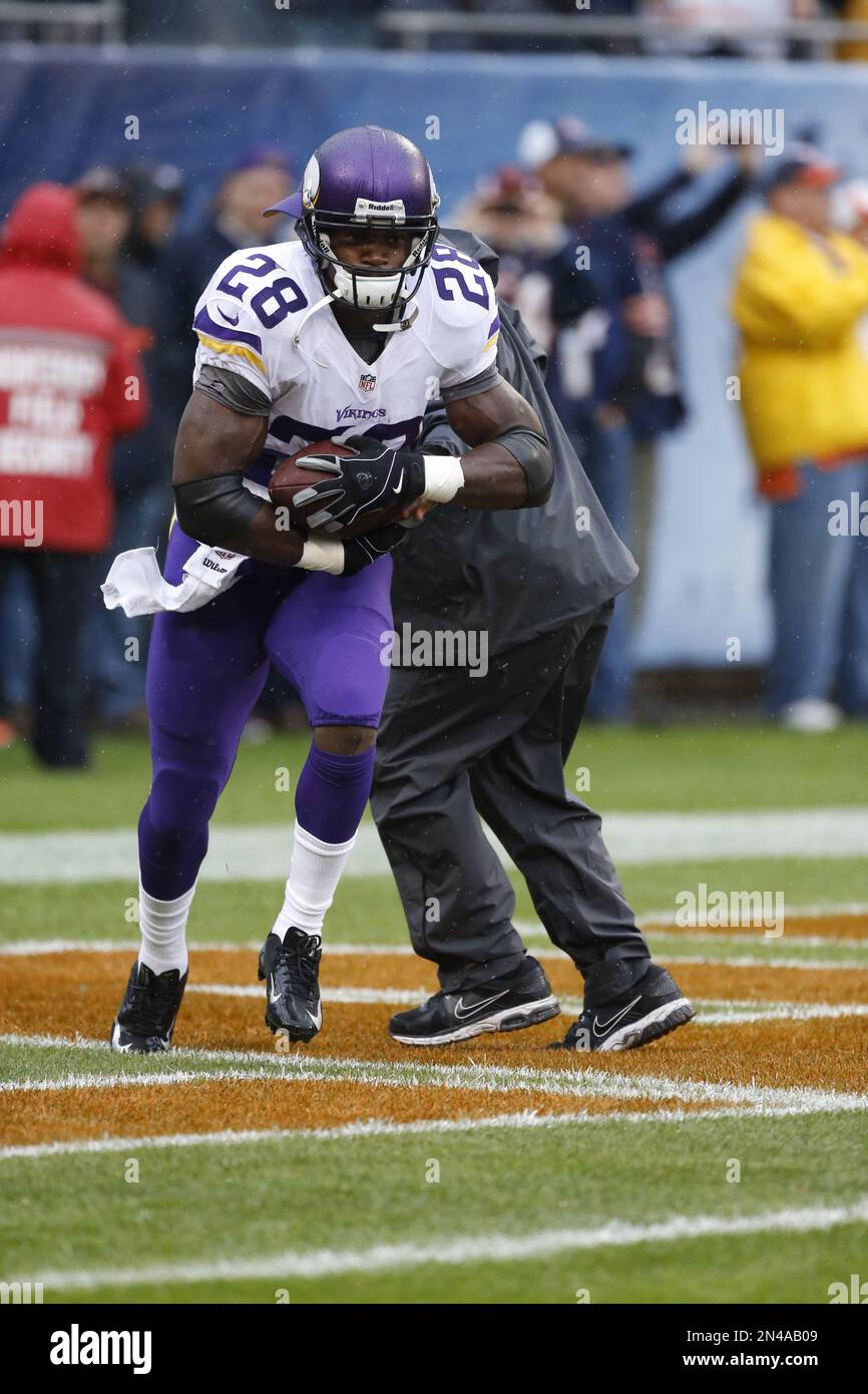 OUT OF CAMERA FILE - Minnesota Vikings running back Adrian Peterson ...