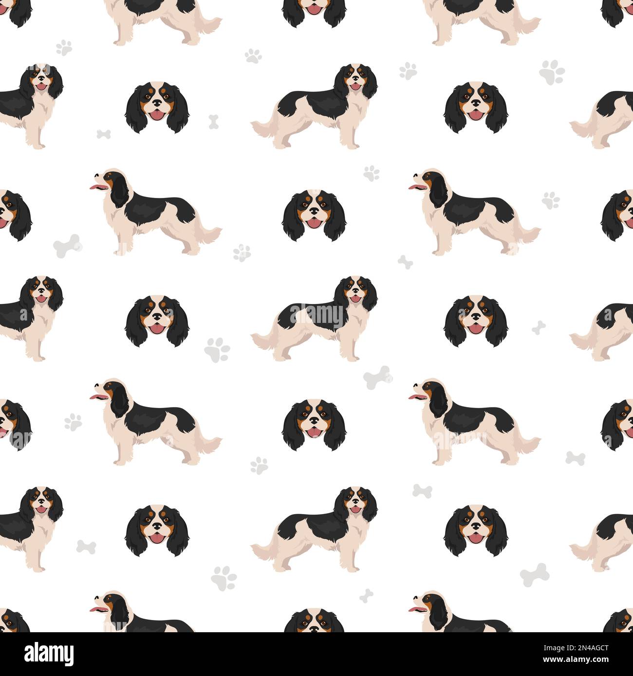 Cavalier King Charles Spaniel seamless pattern. Vector illustration ...