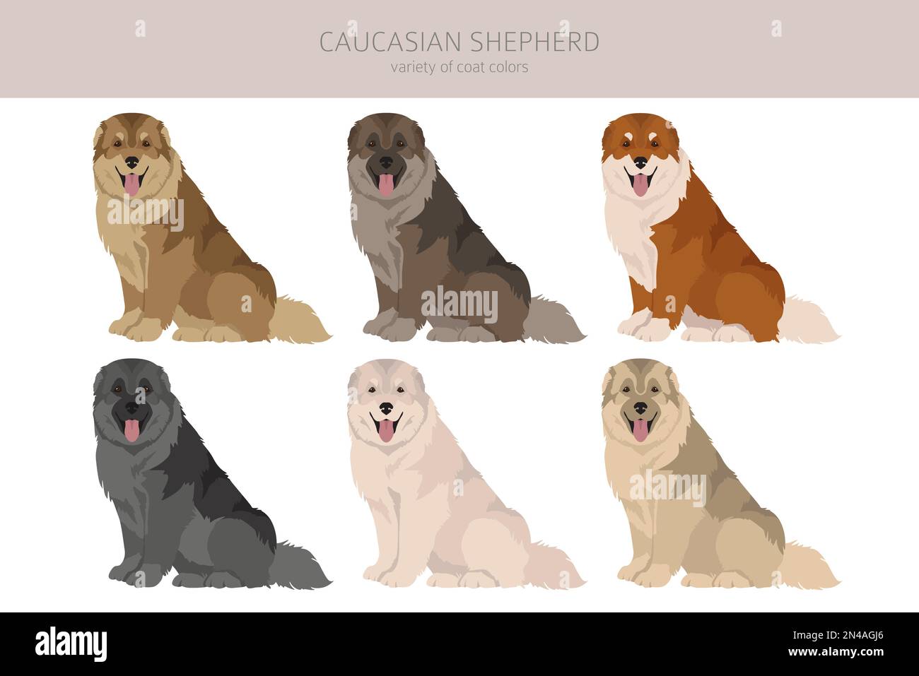 Caucasian shepherd clipart. Different poses, coat colors set. Vector ...