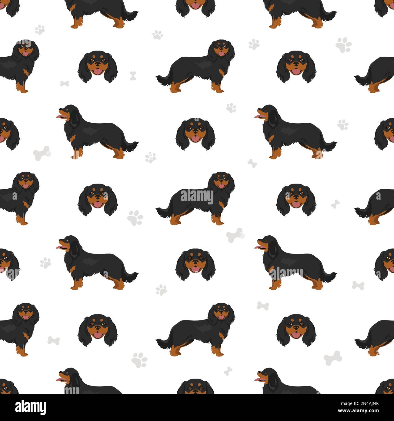 Cavalier King Charles Spaniel seamless pattern. Vector illustration ...