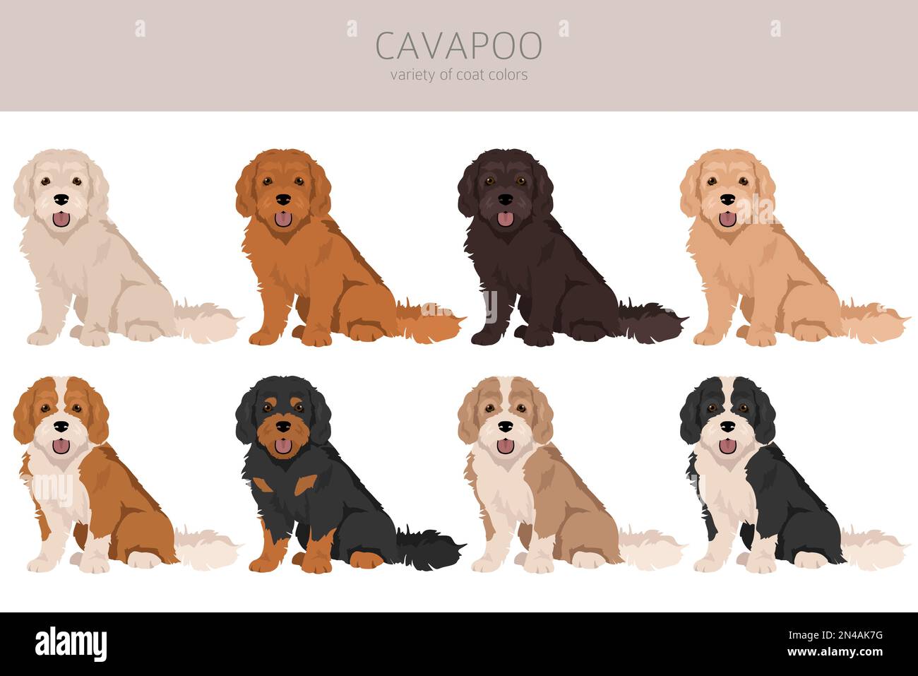 Mixed breed vector vectors hi-res stock photography and images - Alamy