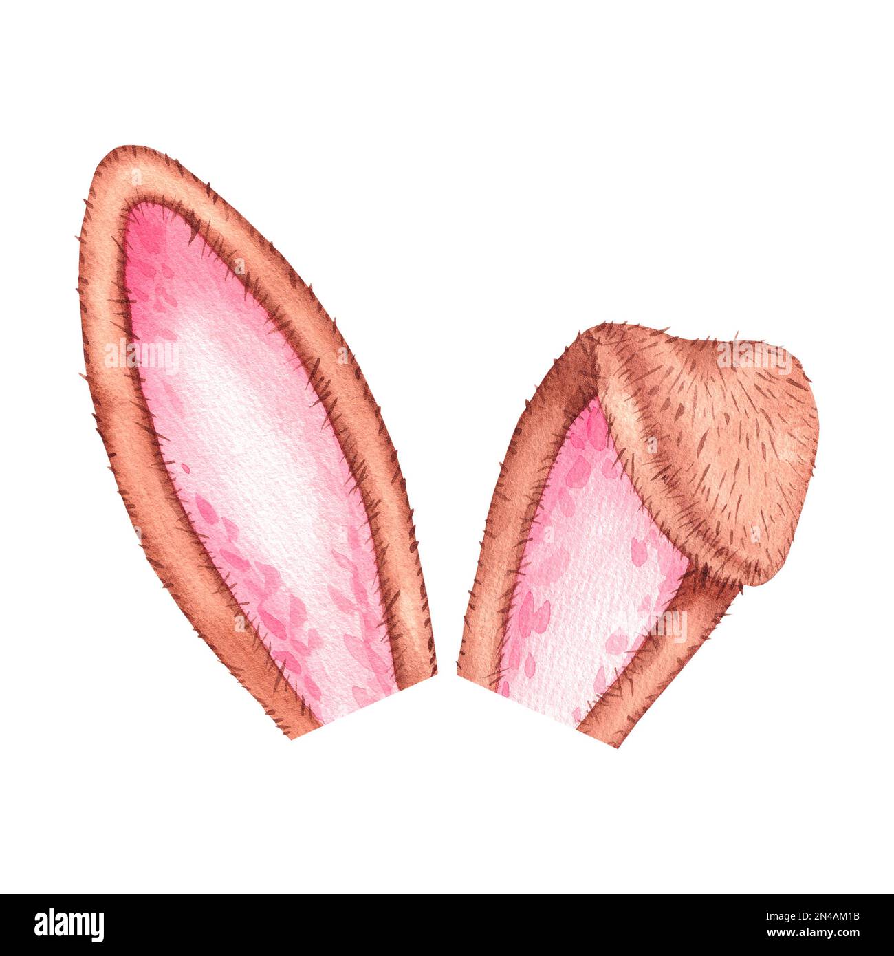 Watercolor illustration of bunny ears on a white background for the ...