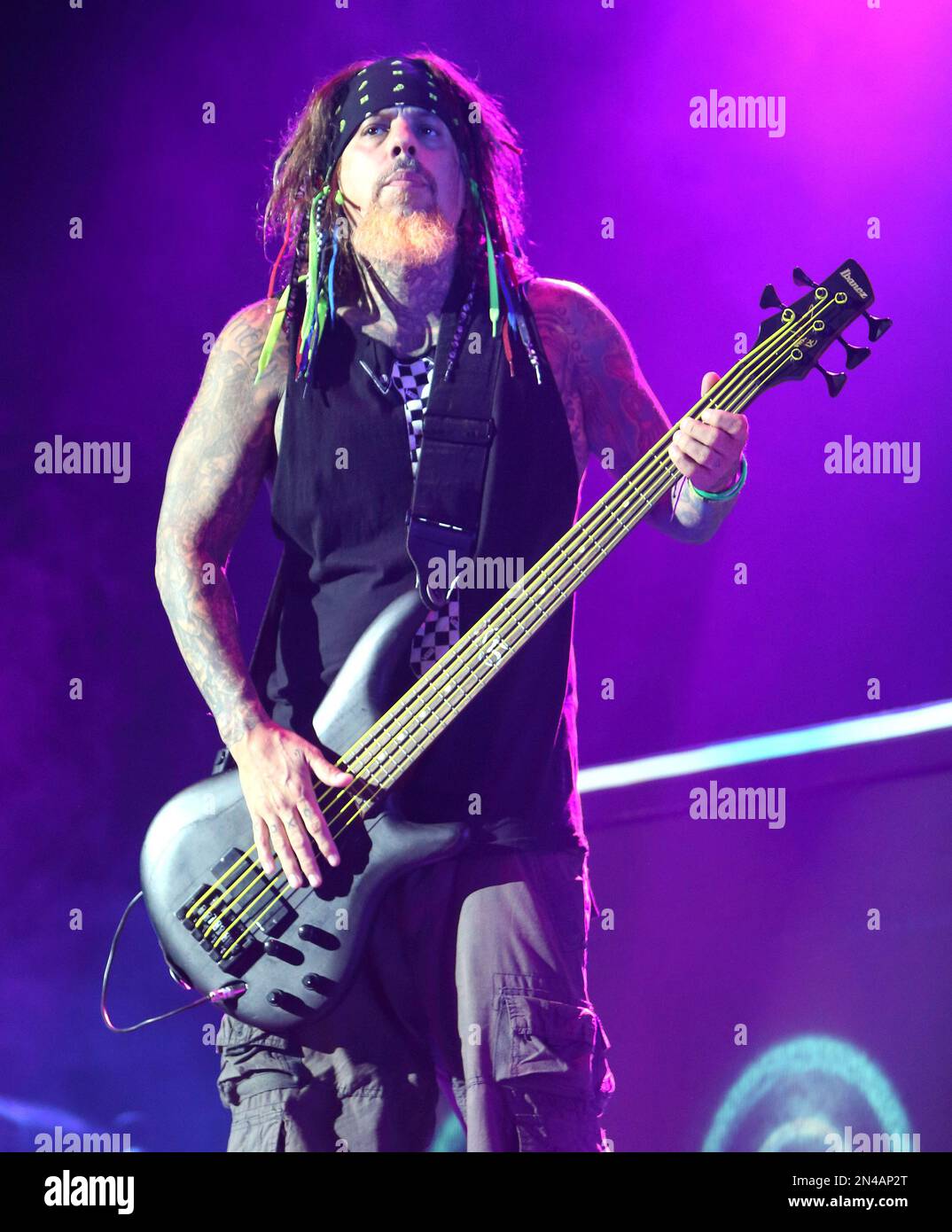 Reginald "Fieldy" Arvizu of the band Korn performs in concert during ...