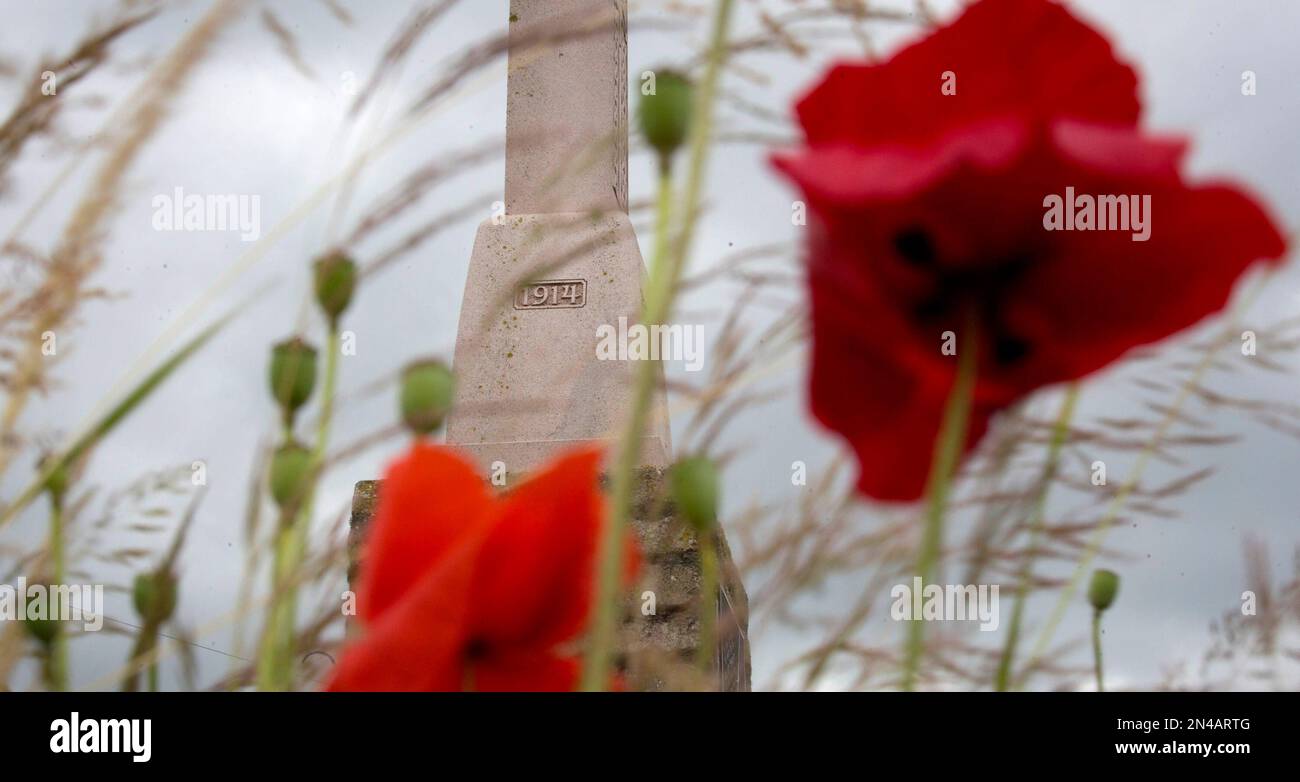 In this Saturday, June 14, 2014 file photo, red poppies bloom around ...