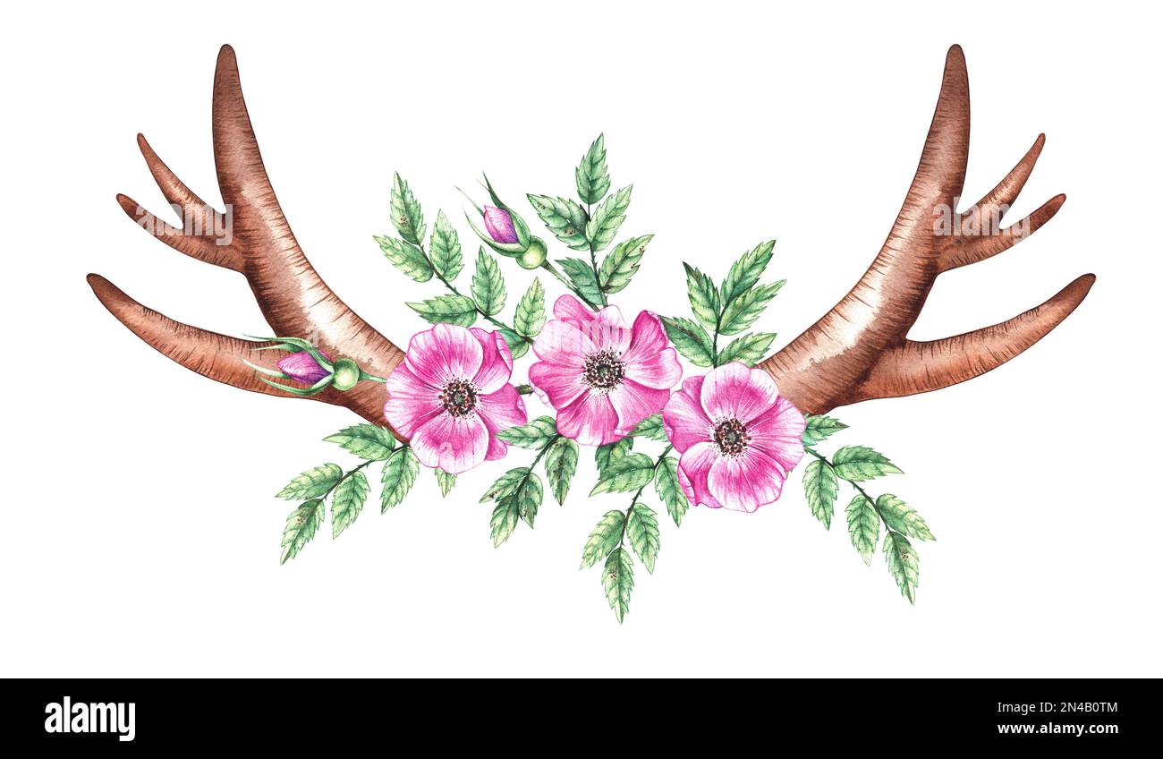 Watercolor horns with rosehip for decorating invitations, weddings ...