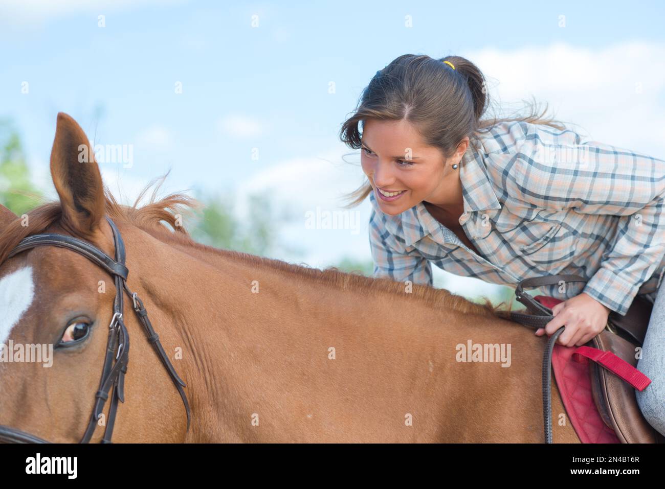 Pretty woman leaning forward hi-res stock photography and images - Alamy