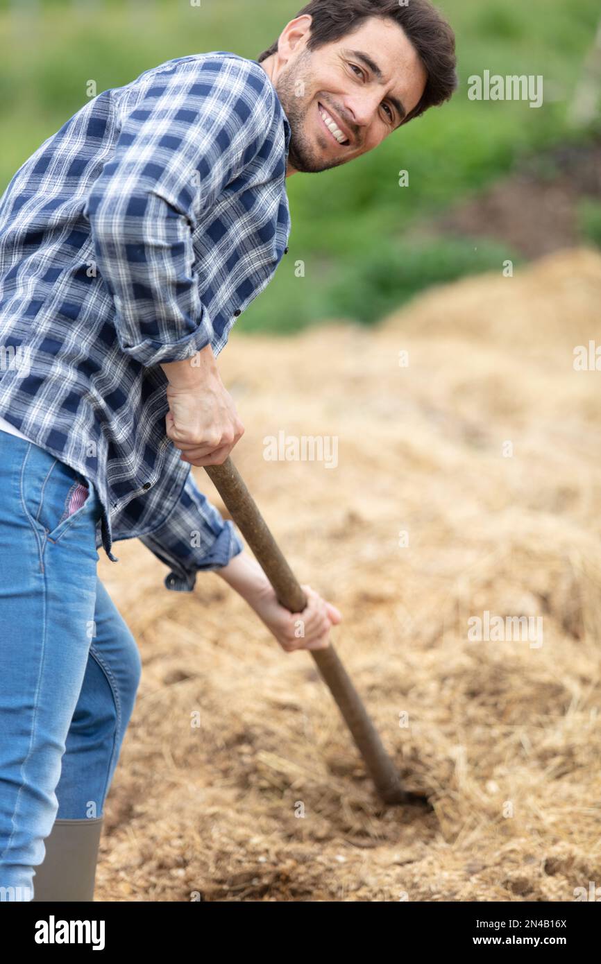 happy young man throwing loose hay with pitch fork Stock Photo - Alamy