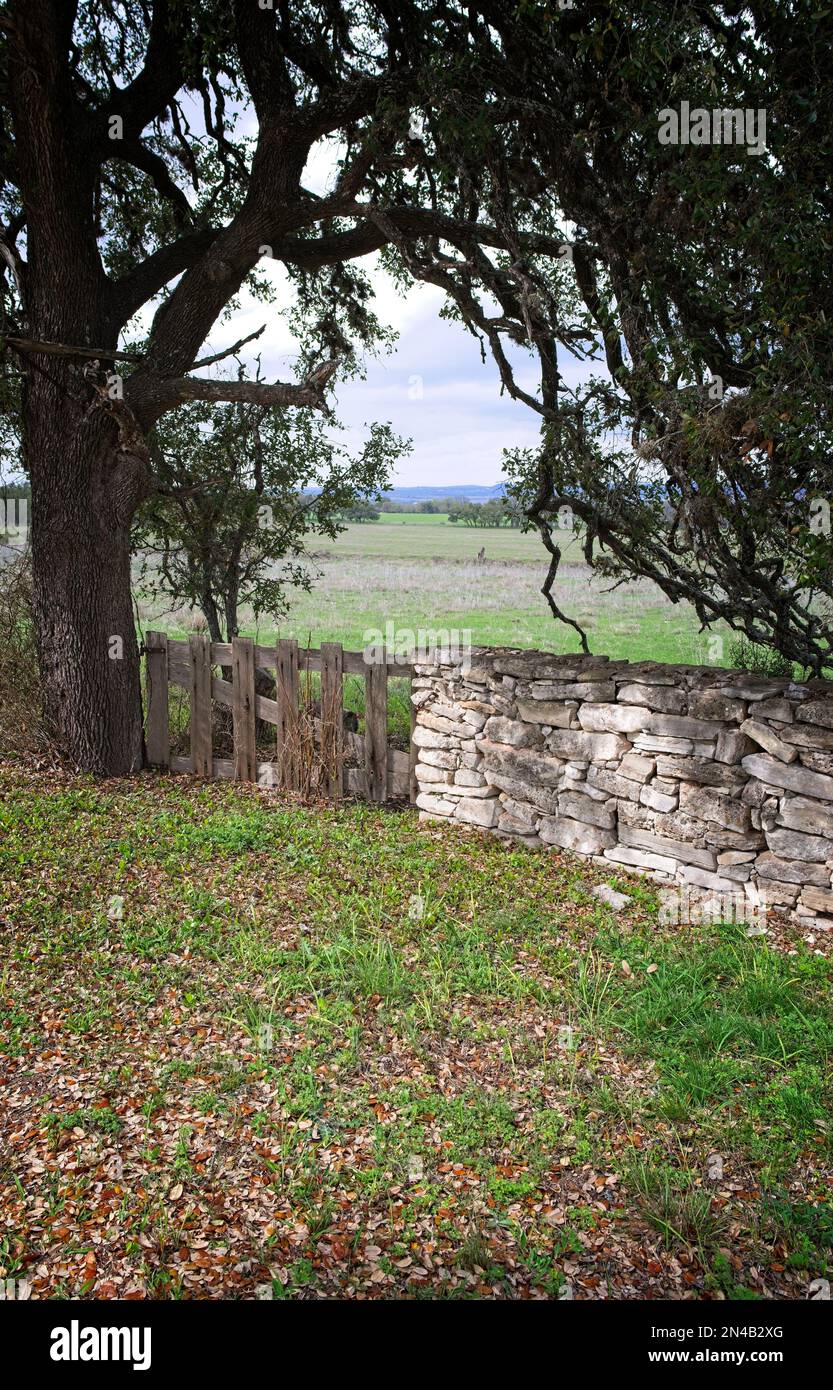 Vertical: Stone fence, wooden gate, oak tree, and field along a rural ...