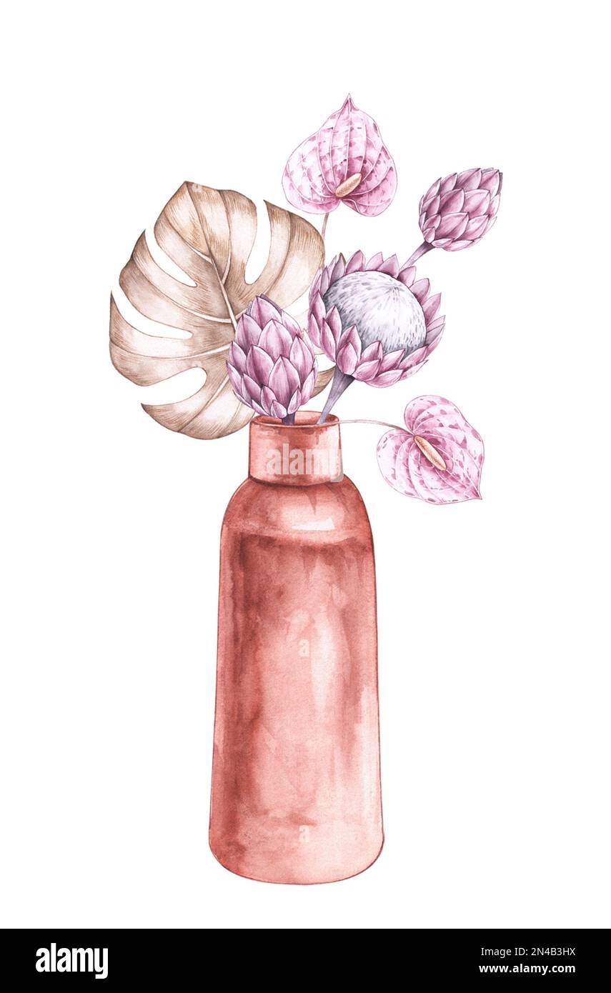 Watercolor vase with dry tropical flowers on a white background in boho ...