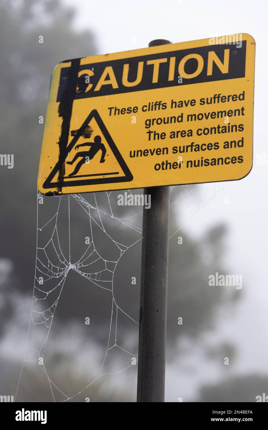 Spider web highlighted by dew on a cold frosty morning in Southend on ...