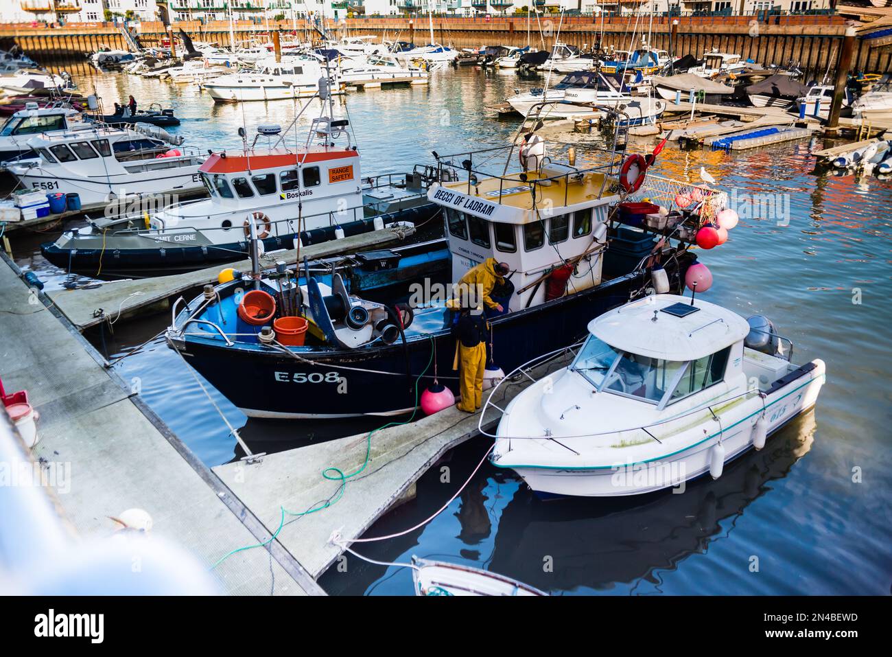 Exmouth Marina with moored boats Stock Photo - Alamy