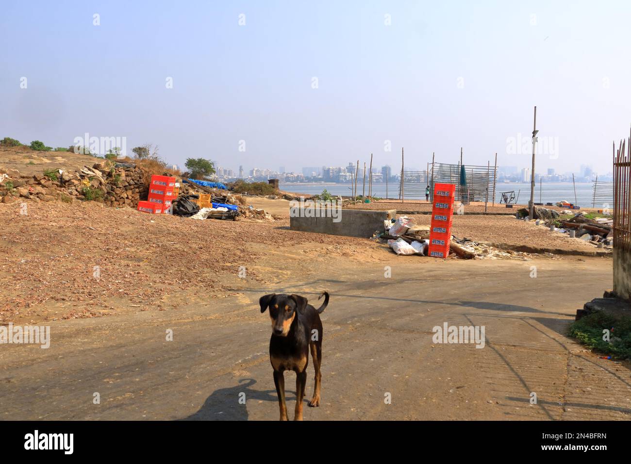December 21 2022 - Mumbai, Maharashtra in India: fishing port in Mumbai ...