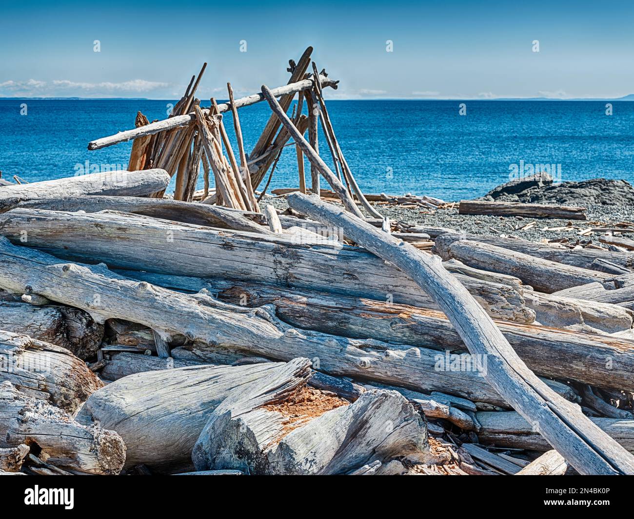 A lean-to shelter constructured from old driftwood is partially built ...